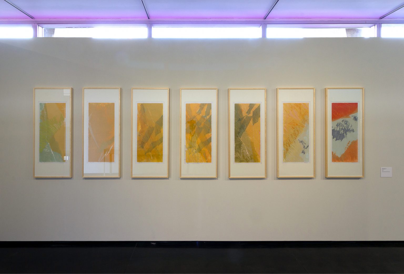 Fayga Ostrower: formações do avesso – MAM Rio