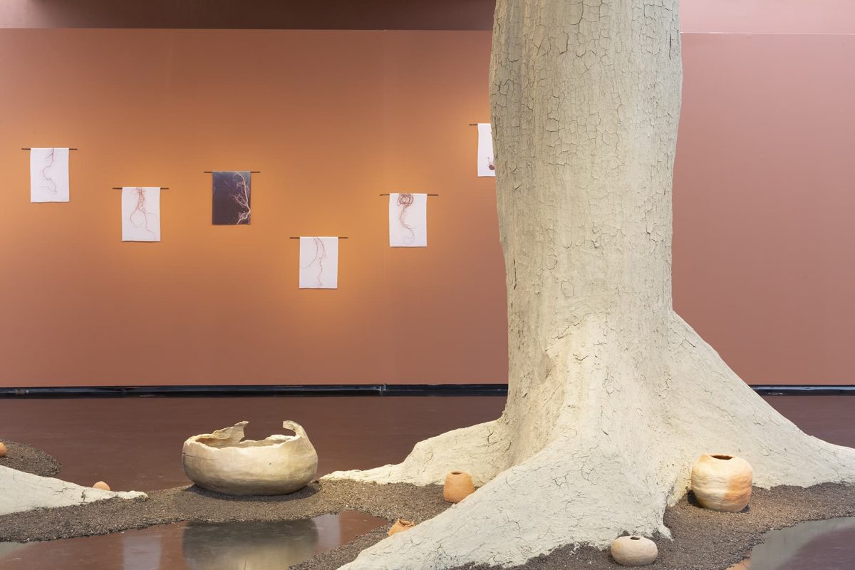 SUPERNOVA – SALLISA ROSA: AMÉRICA – MAM Rio